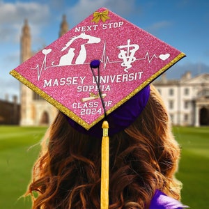 Personalized Veterinarian Graduation Cap Topper, Custom Vet Tech Grad ...