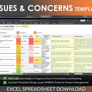 Issues and Concerns Excel Template: Project Management Tracker (instant Download) - Etsy