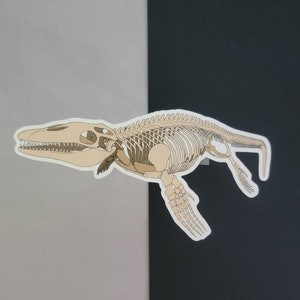 Mosasaurus Sticker | Sea Monster | Fossil | Marine Reptile ...