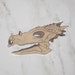 Triceratops Sticky Notes | Dinosaur Stationery | Dinosaurs ...