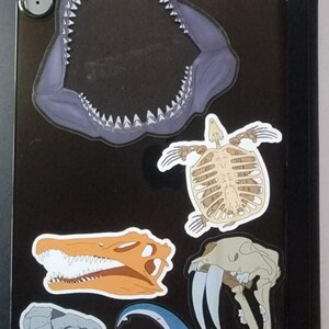 Megalodon Shark Sticker I Paleontology I Fossil | Surfing | Shark Jaw ...