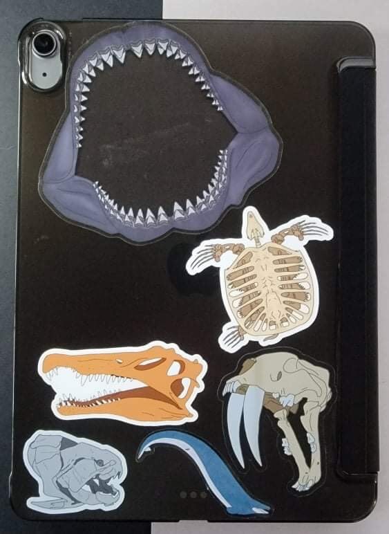 Megalodon Shark Sticker I Paleontology I Fossil | Surfing | Shark Jaw ...