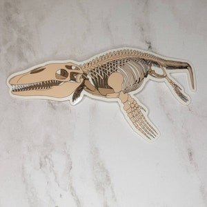 Mosasaurus Sticker | Sea Monster | Fossil | Marine Reptile ...
