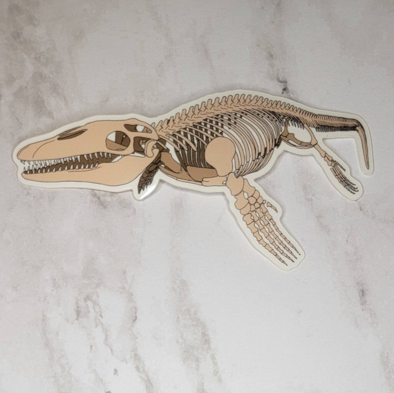 Mosasaurus Sticker Sea Monster Fossil Marine Reptile - Etsy