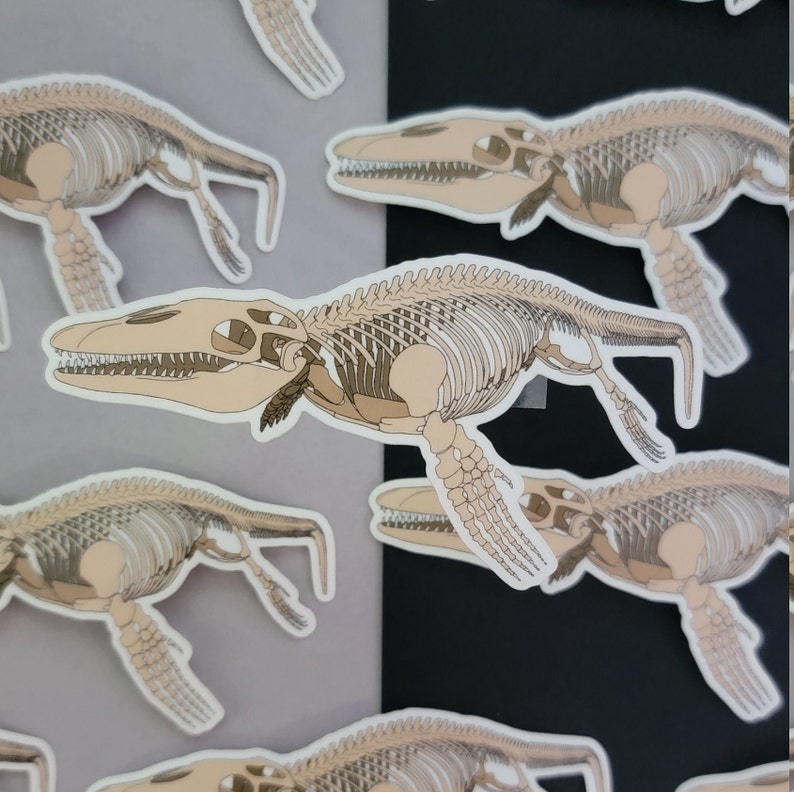 Mosasaurus Sticker Sea Monster Fossil Marine Reptile - Etsy