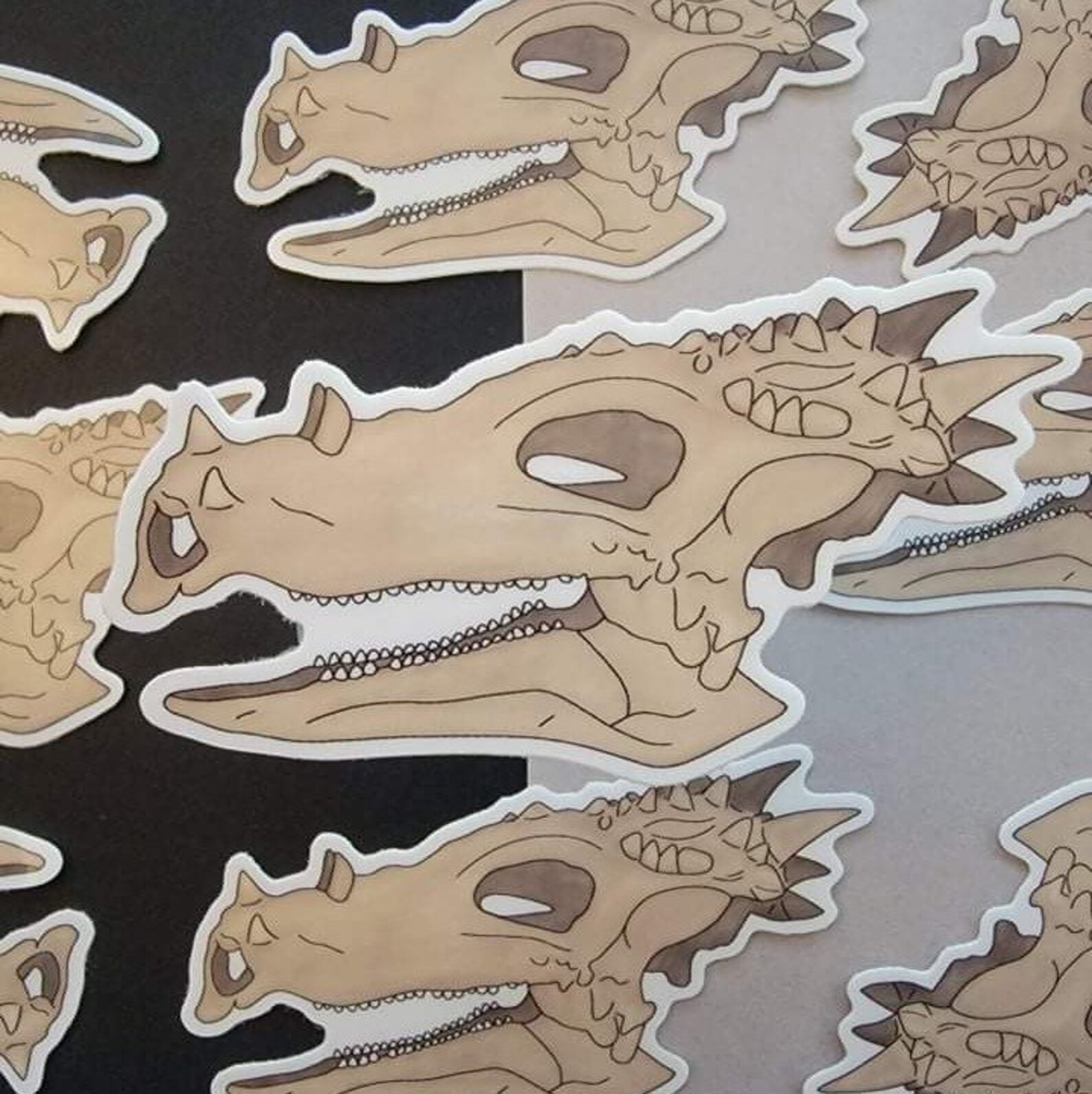 Dracorex Sticker | Dinosaur | Dragon | Pachycephalosaurus | Fossil I ...