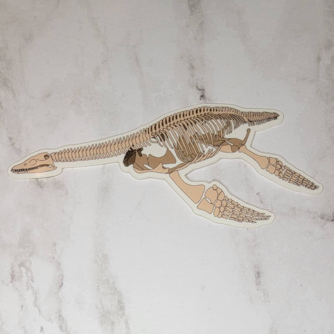 Plesiosaurus Sticker Sea Monster Plesiosaur Fossil Marine Reptile ...