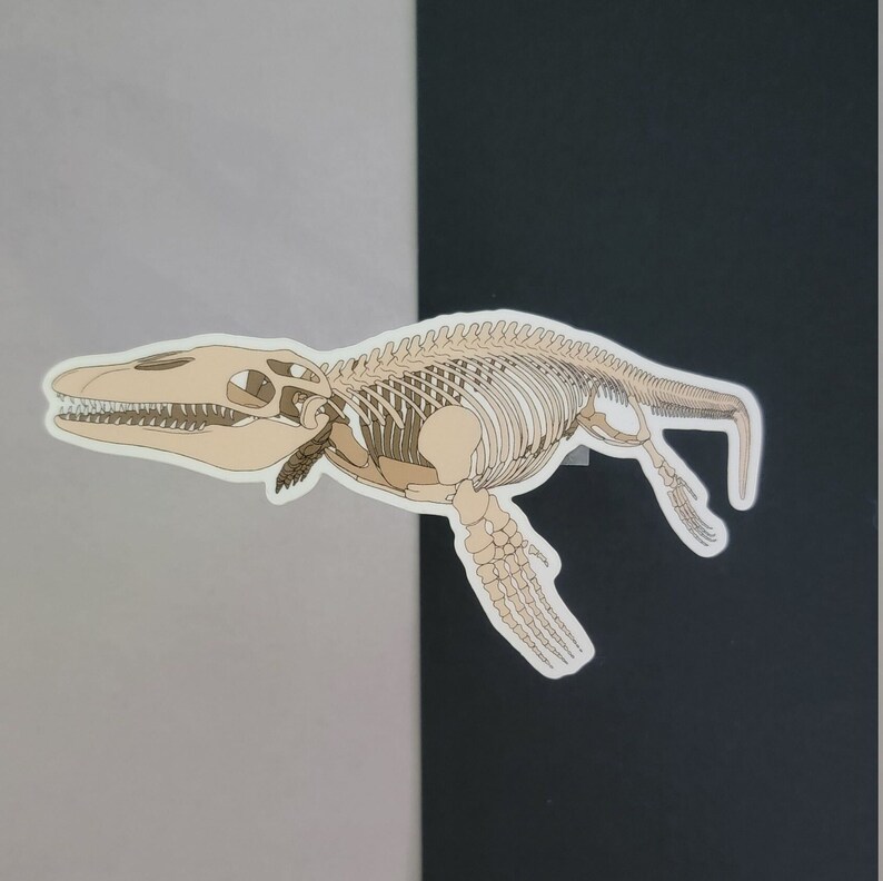 Mosasaurus Sticker Sea Monster Fossil Marine Reptile - Etsy