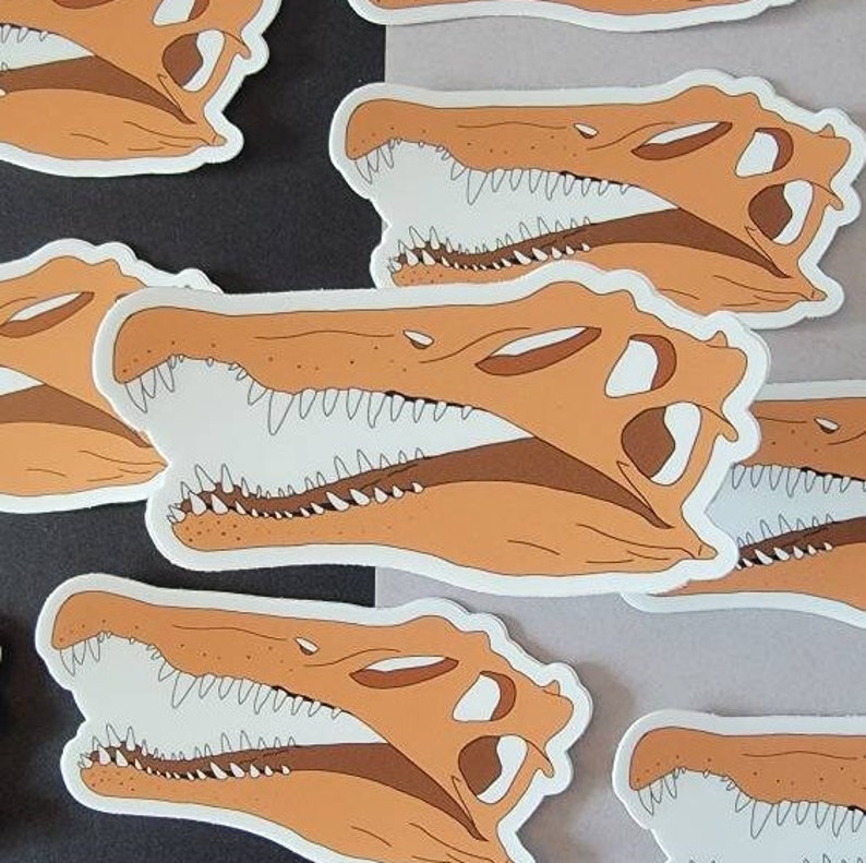 Spinosaurus Skull Sticker Dinosaur Fossil Paleontology - Etsy