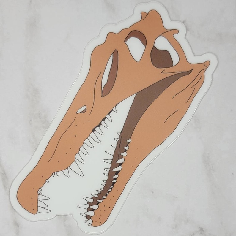 Spinosaurus Skull Sticker Dinosaur Fossil Paleontology - Etsy