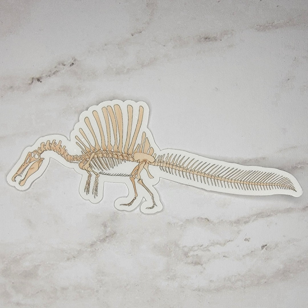 Spinosaurus Skeleton Sticker | Dinosaur | Fossil | Paleontology ...