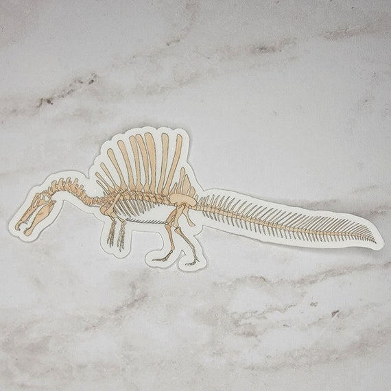 Spinosaurus Skeleton Sticker Dinosaur Fossil - Etsy