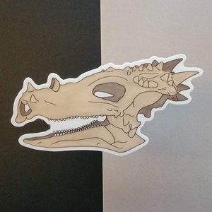 Dracorex Sticker | Dinosaur | Dragon | Pachycephalosaurus | Fossil I ...
