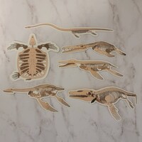 Livyatan Melvillei, Miniature to Scale; Replicas of Extinct Fauna of ...