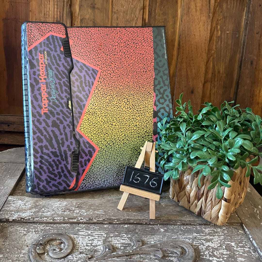 1980’s Trapper Keeper by Mead Corporation, Vintage School Organizer ...