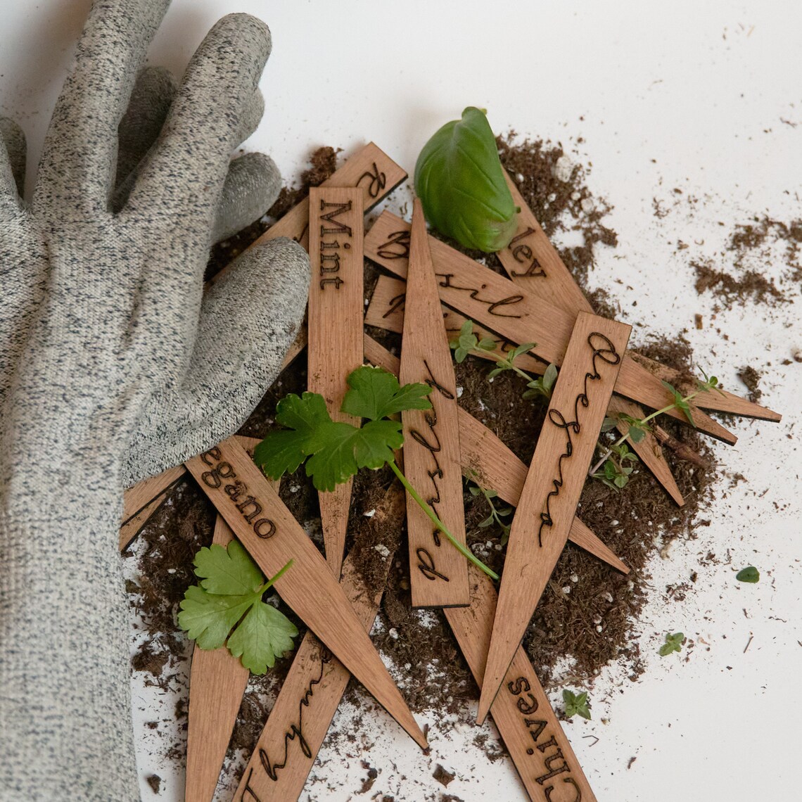 Wooden Plant Labels for Plant Babies Herb Gardens and Indoor - Etsy