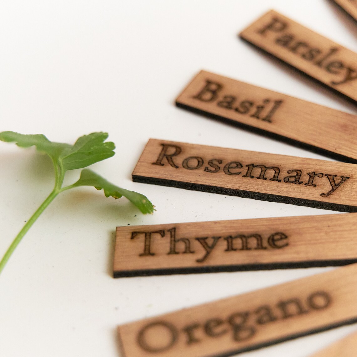 Wooden Plant Labels for Plant Babies Herb Gardens and Indoor - Etsy