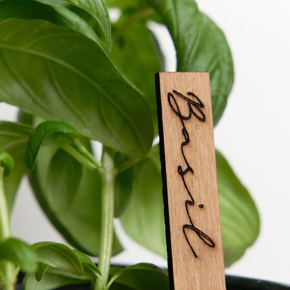 Wooden Plant Labels for Plant Babies Herb Gardens and Indoor - Etsy