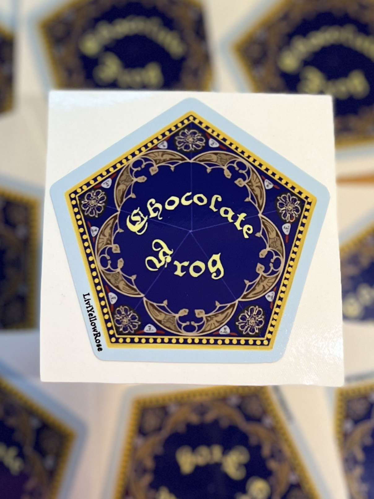 Chocolate Frog Box