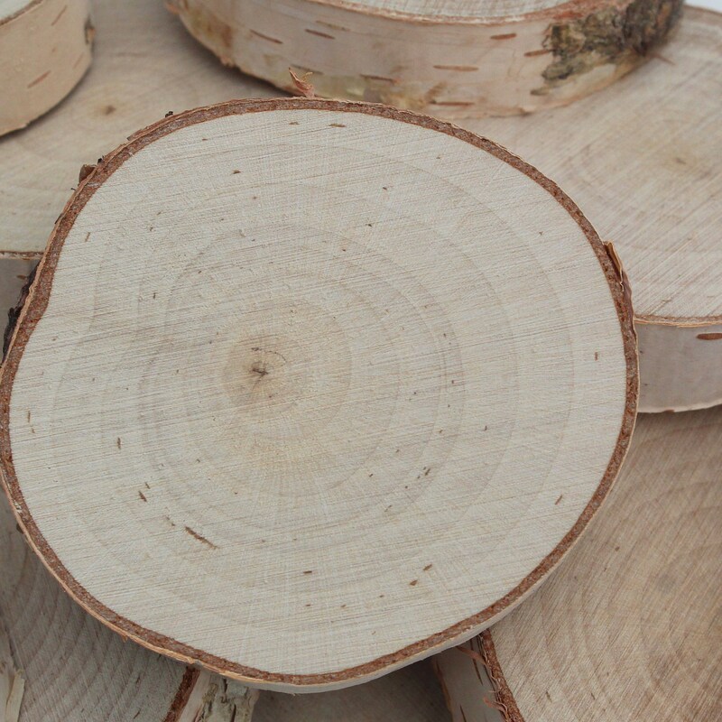 Birch Wood Centerpiece - Etsy