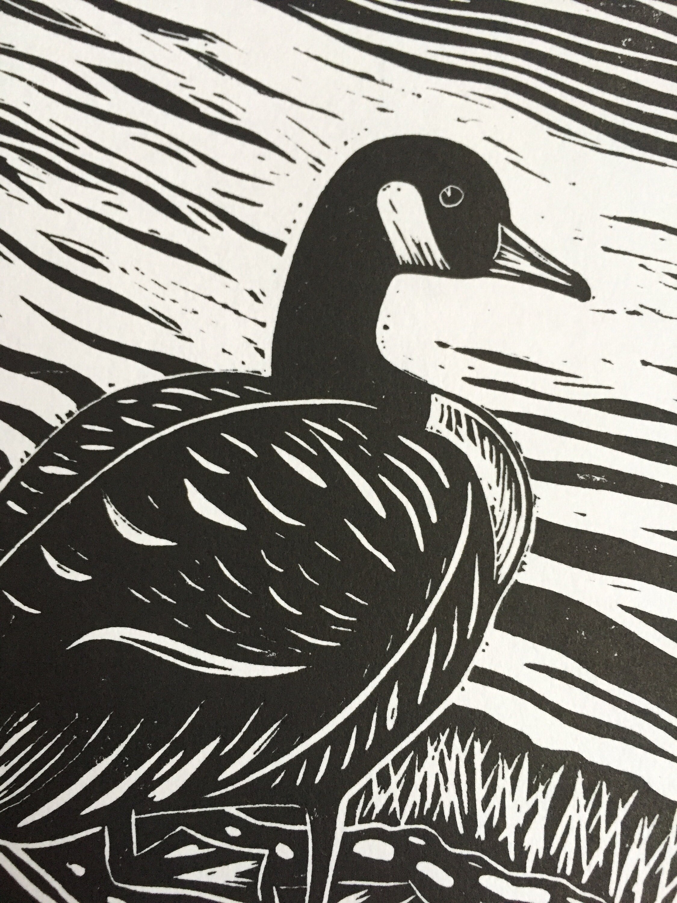 Original Linoldruck einer Kanadagans. Vogel Kunst - Etsy.de