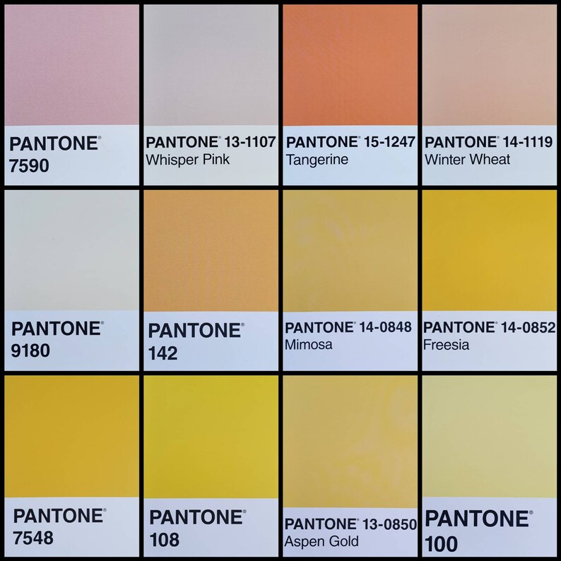 Personalised Pantone Cards - Etsy
