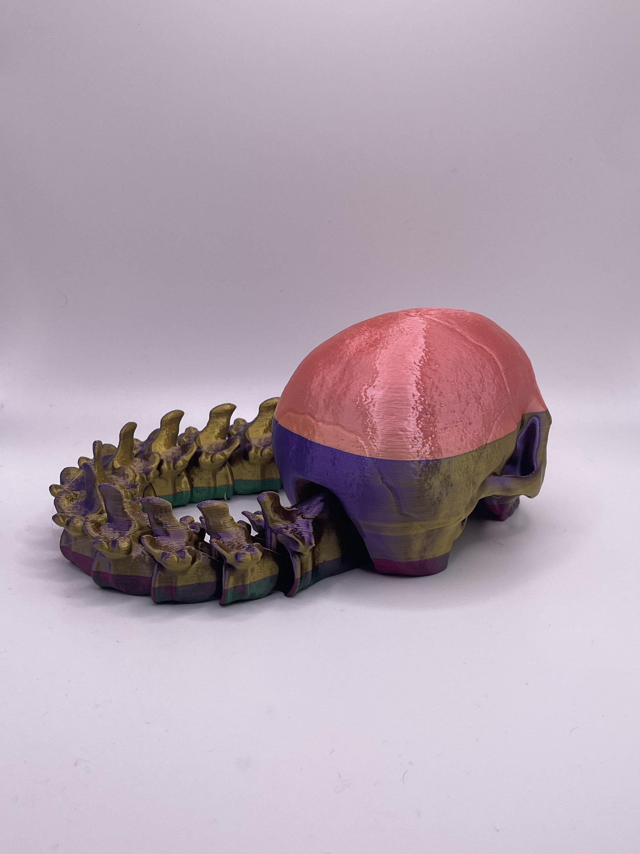 Articulated Predator Skull 3D Printed - Etsy