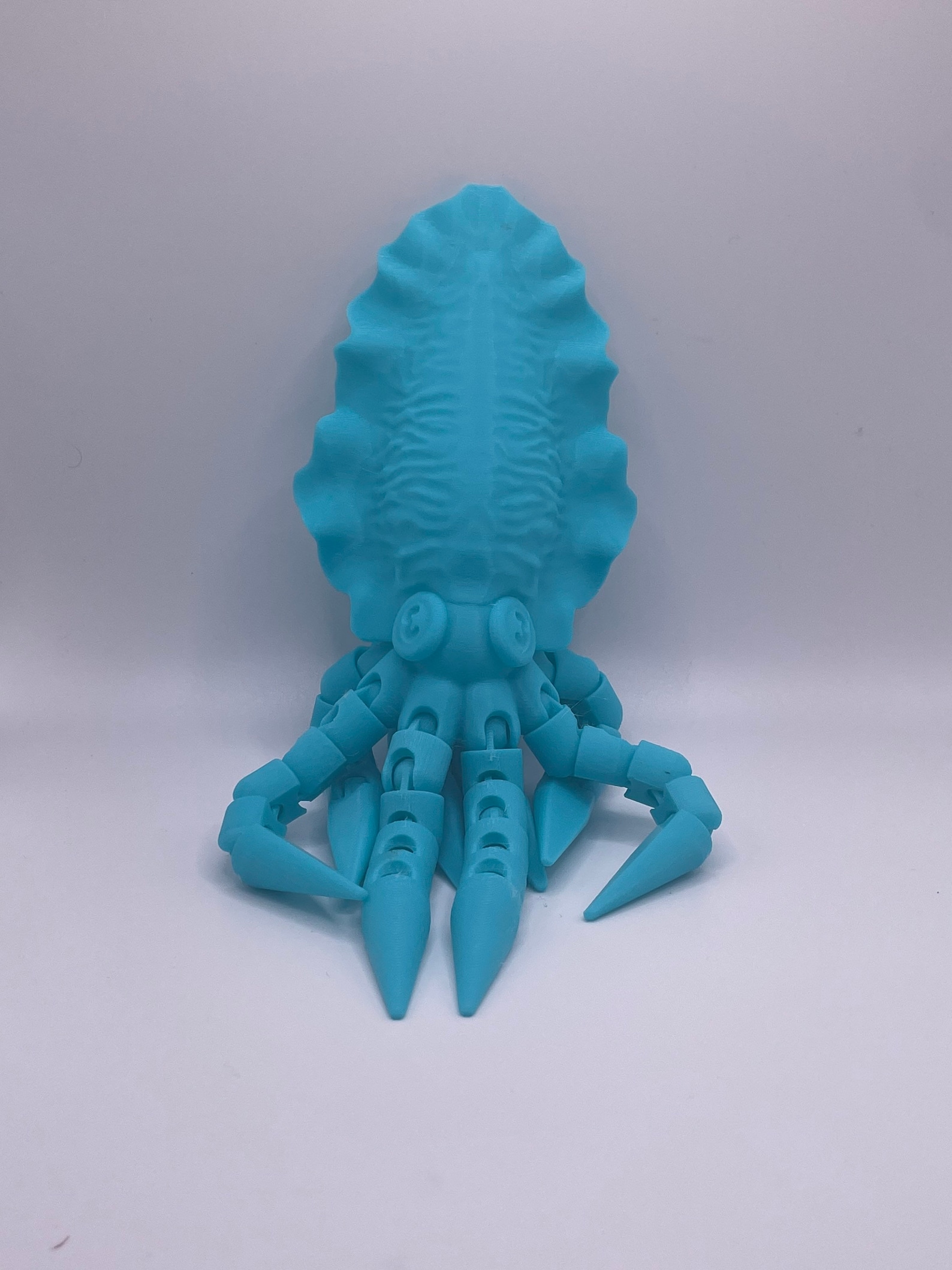 Articulated Cuttlefish 3D Printed | Etsy