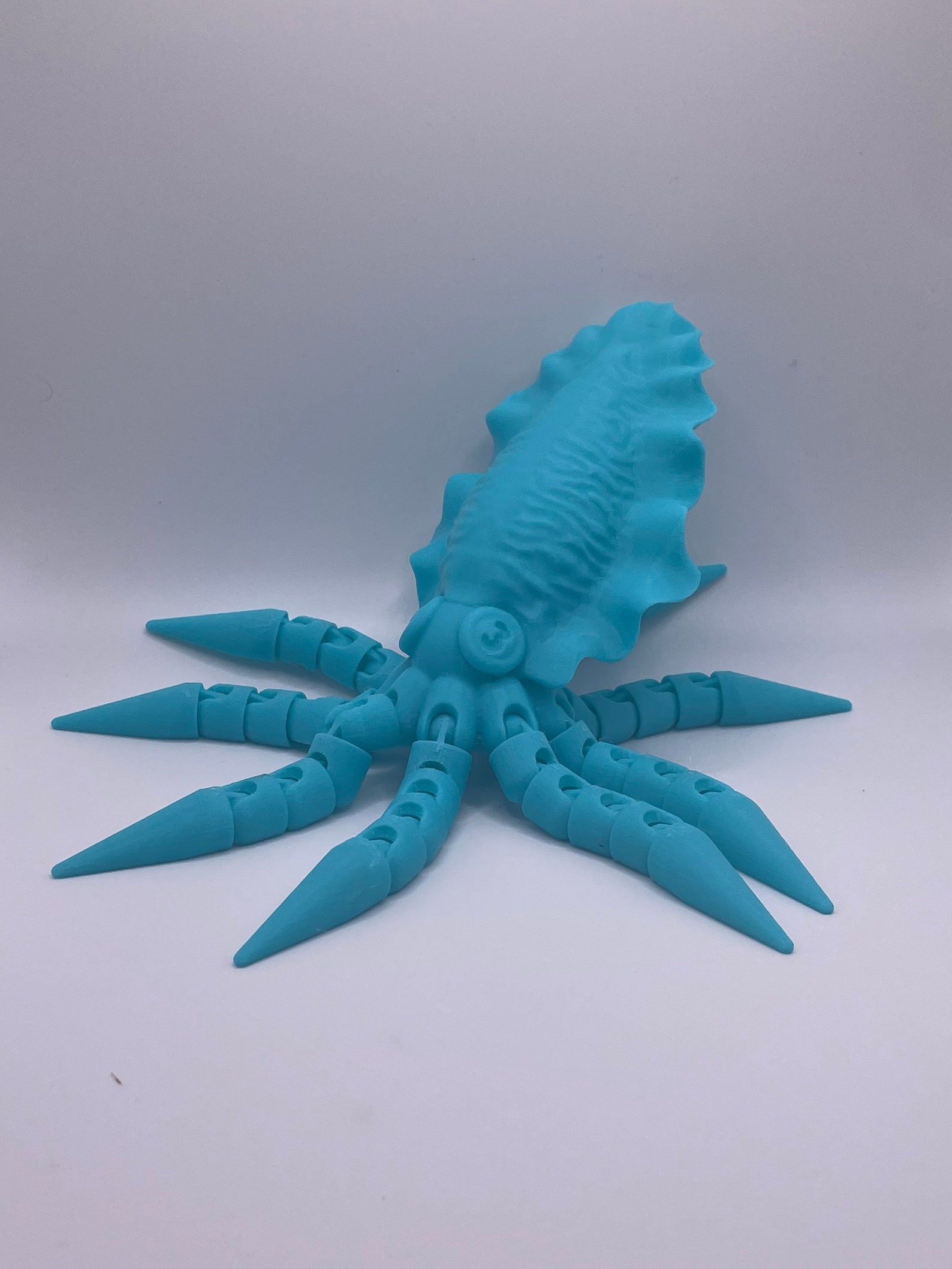 Articulated Cuttlefish 3D Printed | Etsy