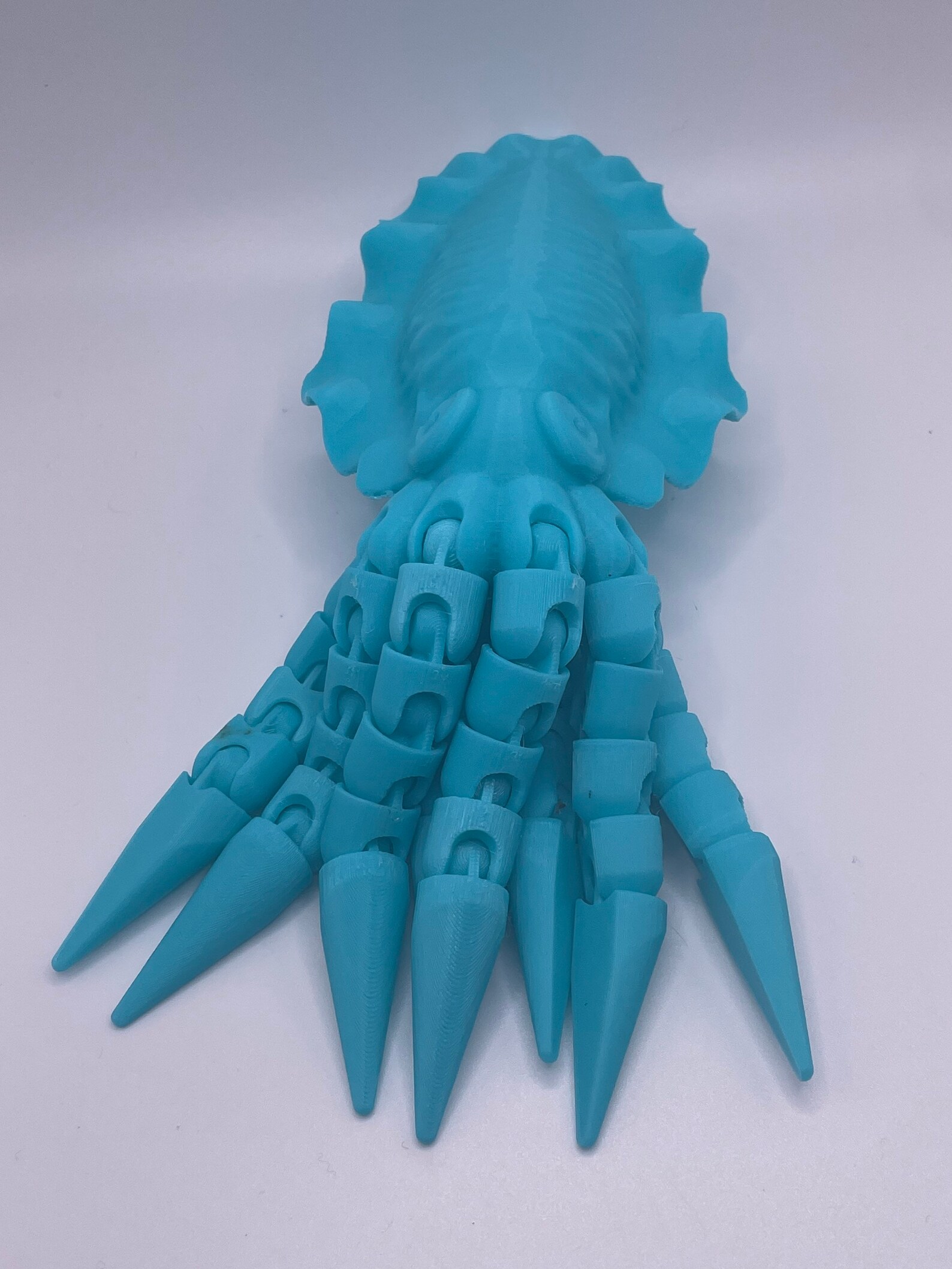 Articulated Cuttlefish 3D Printed | Etsy