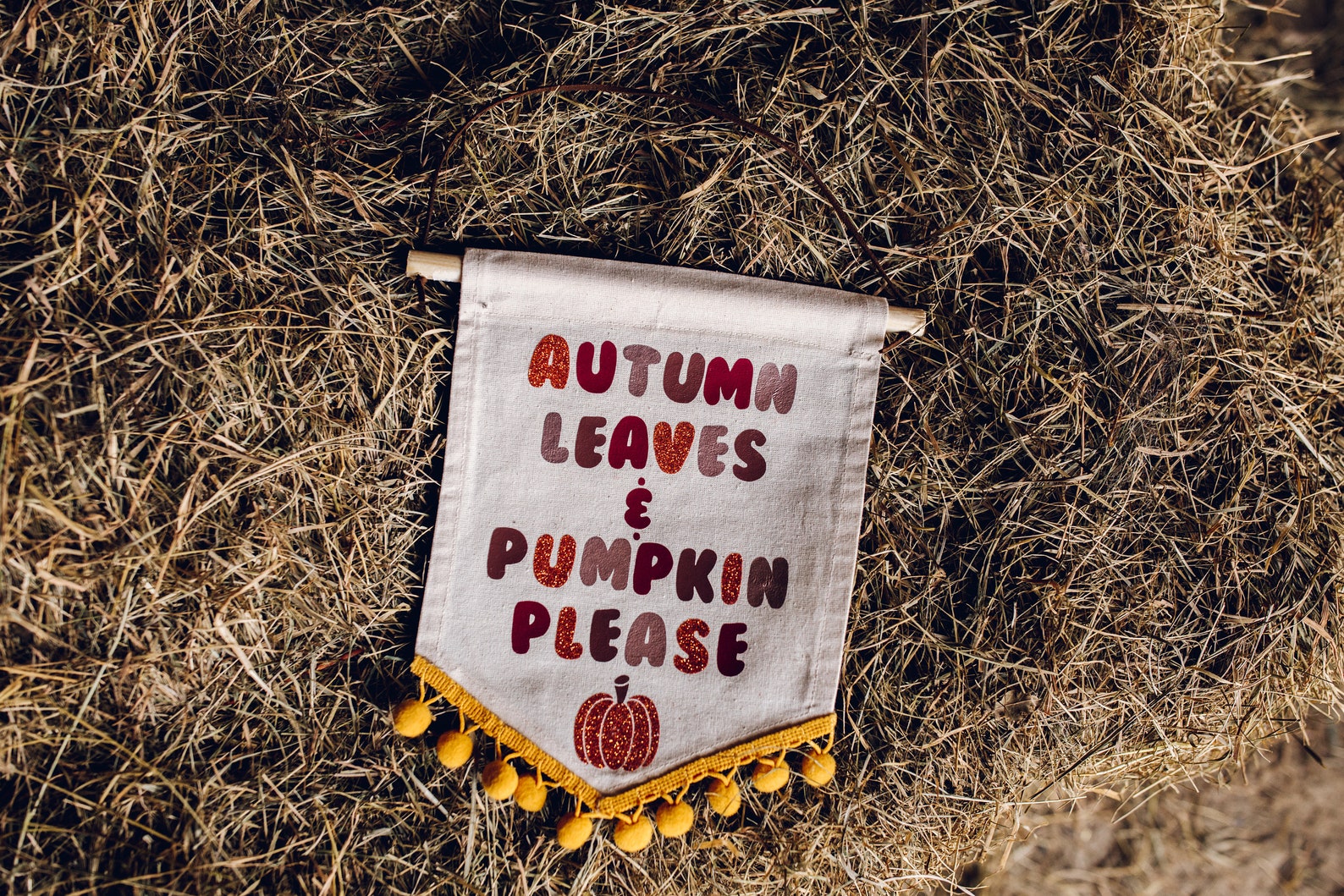 Autumn Leaves & Pumpkin Please Canvas Pennant Flag Banner - Etsy