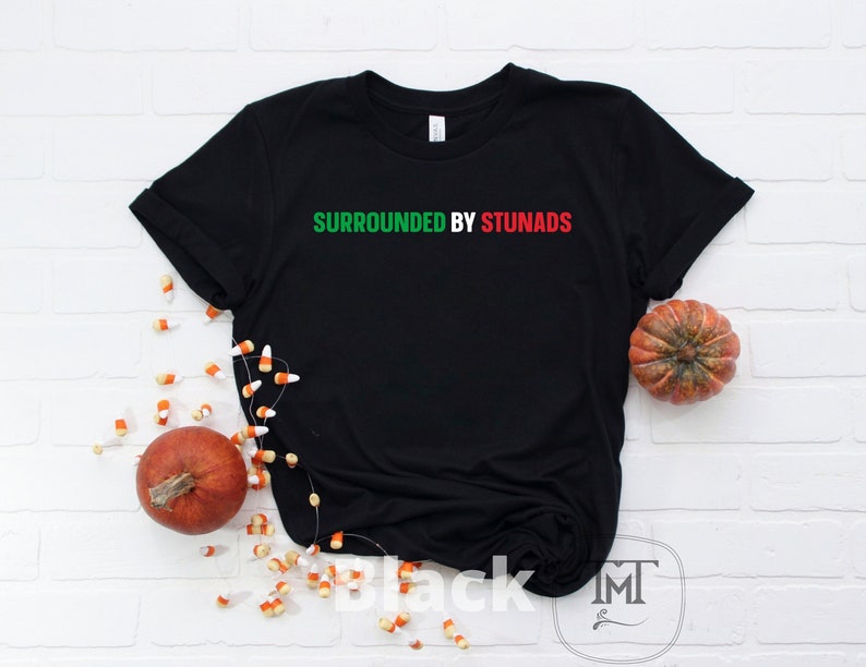 Surrounded by Stunads Shirt Funny Italian Saying Shirt | Etsy