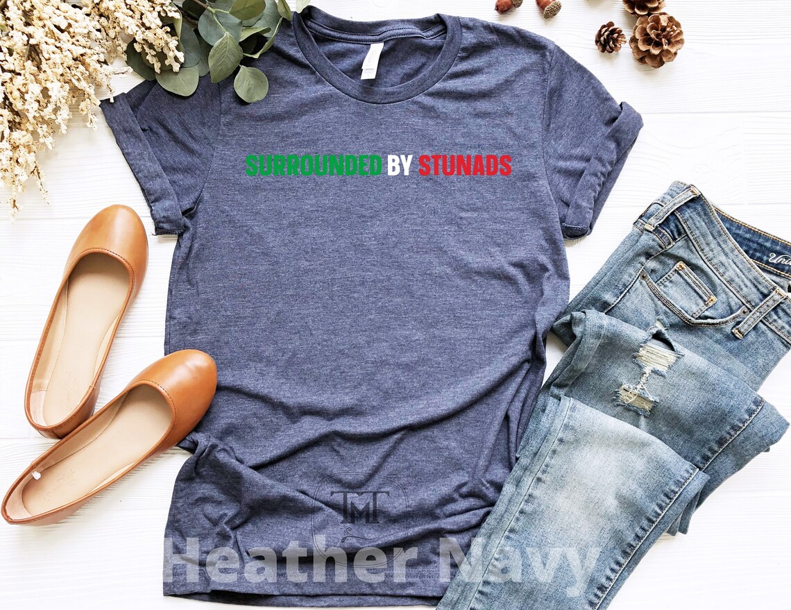 Surrounded by Stunads Shirt Funny Italian Saying Shirt | Etsy