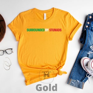 Surrounded by Stunads Shirt, Funny Italian Saying Shirt, Italian Gift ...