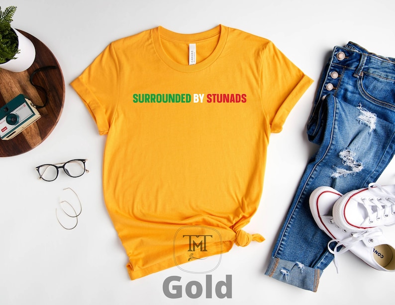 Surrounded by Stunads Shirt Funny Italian Saying Shirt | Etsy