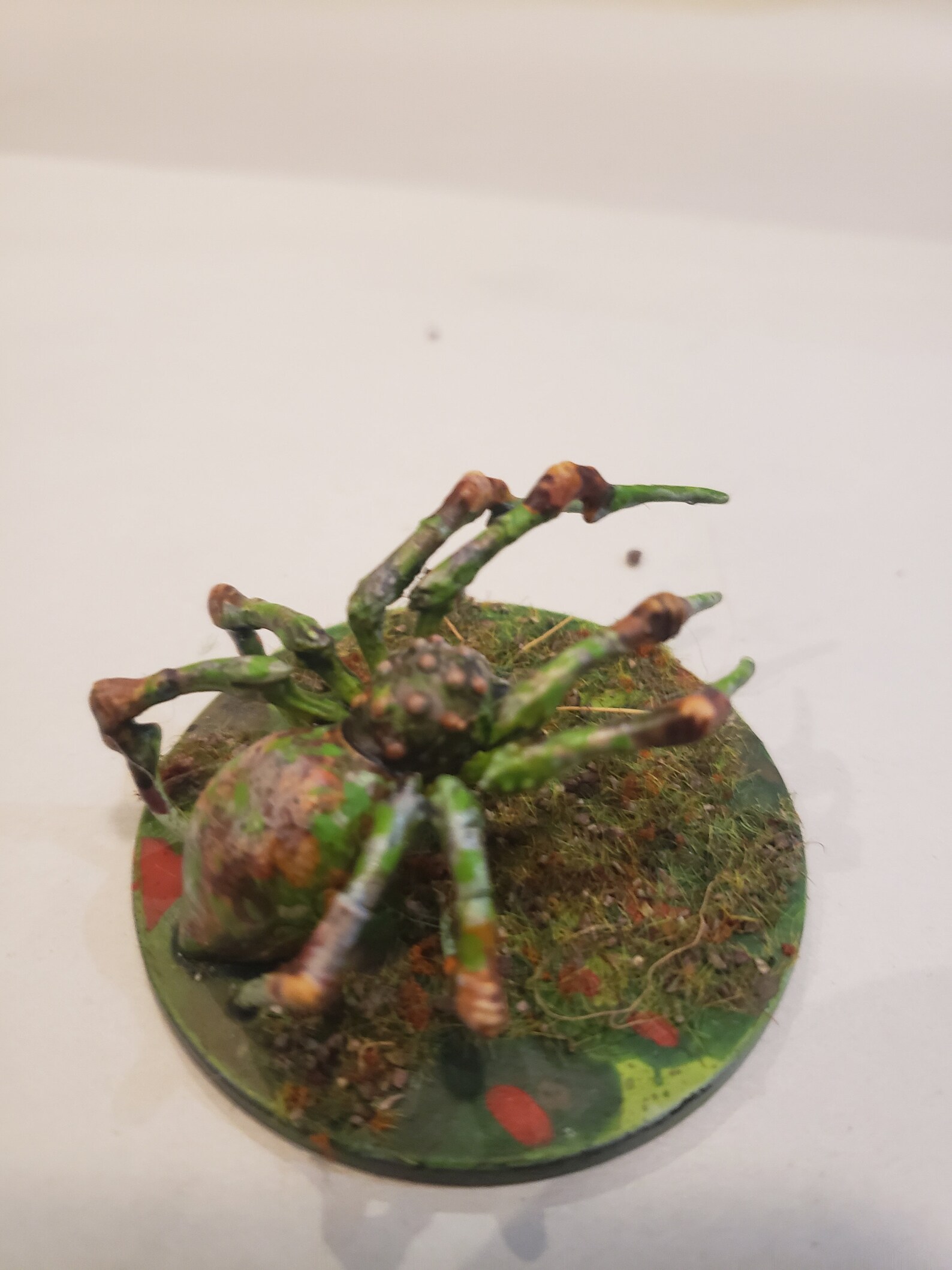 RPG Miniatures: Giant Tropical Spider - Etsy