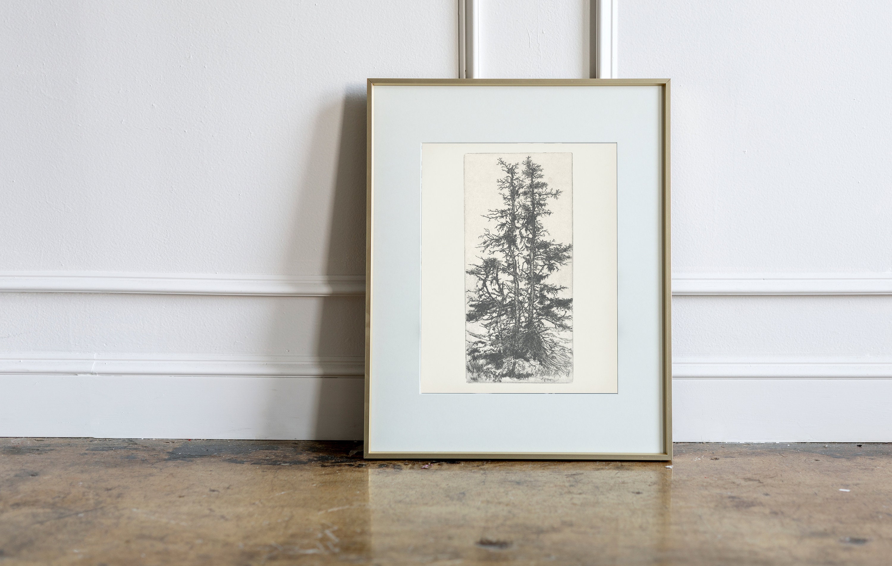 Tree Etching Vintage Print. Antique Tree Sketch Printable. - Etsy