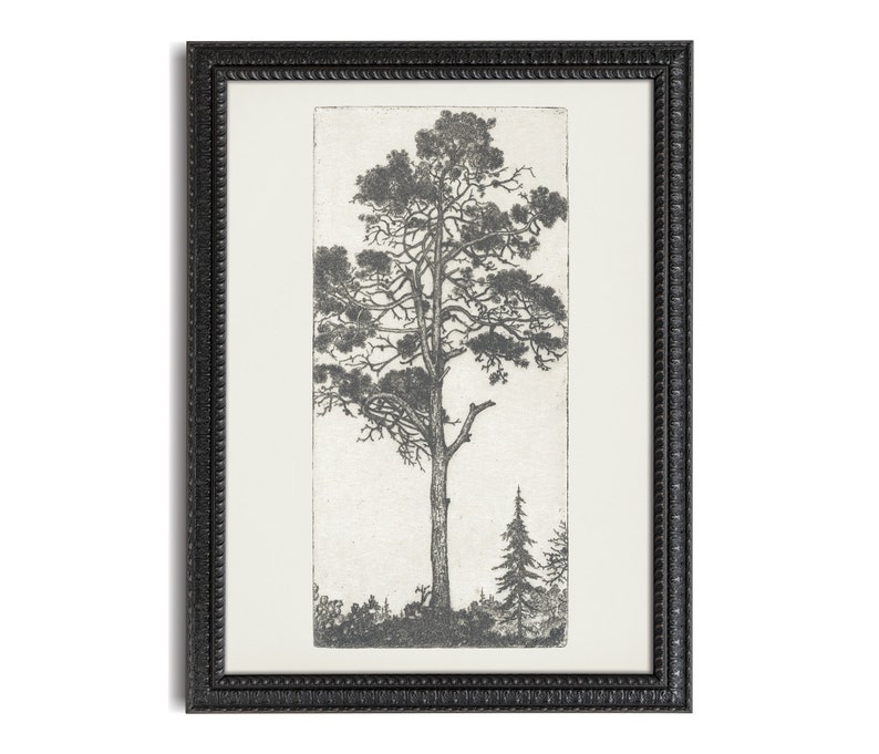 Tree Sketch Antique Print. Vintage Tree Drawing Printable. - Etsy