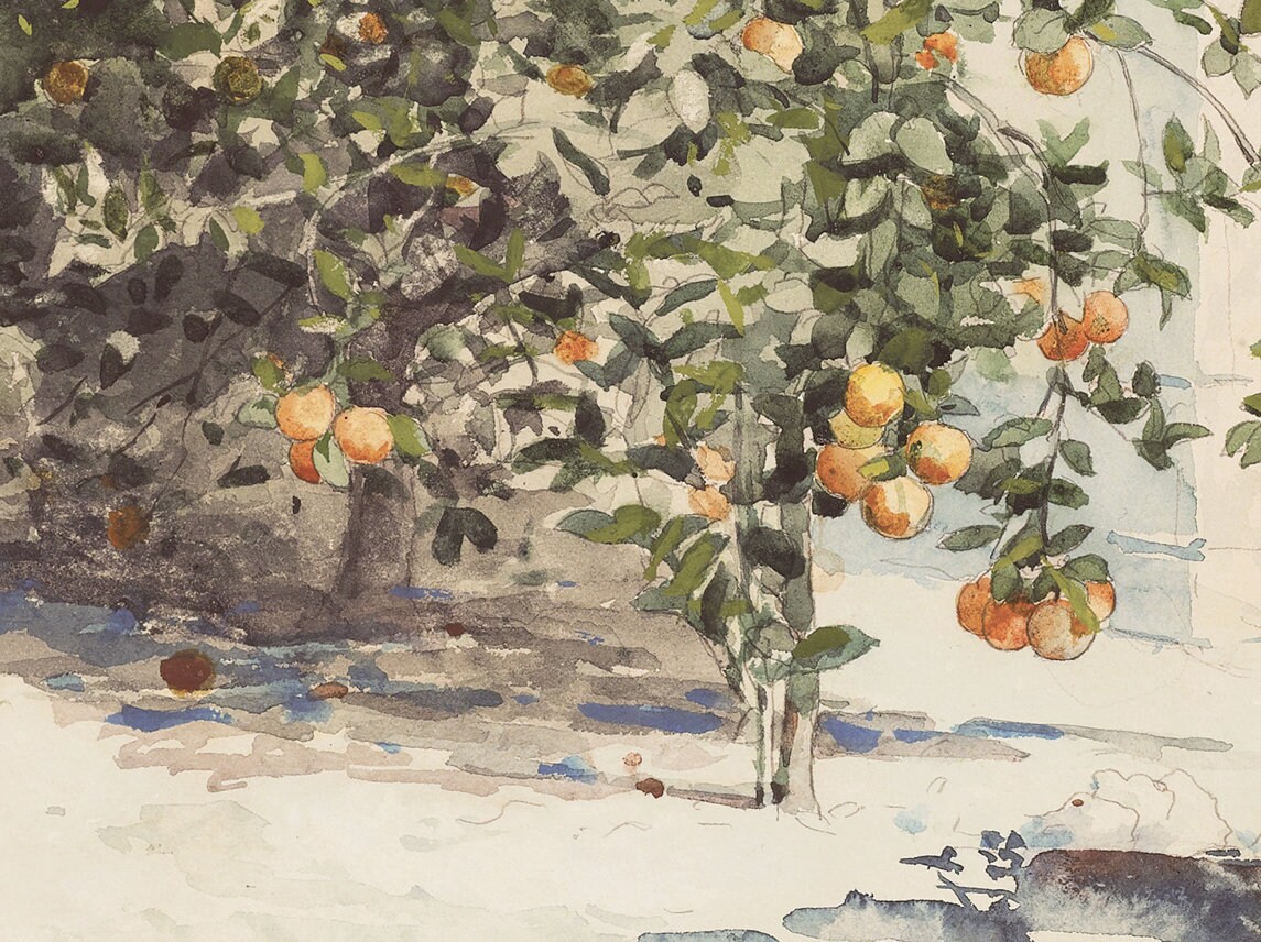 Antique 3 Piece Wall Art. Spring Gallery Wall Set. French | Etsy