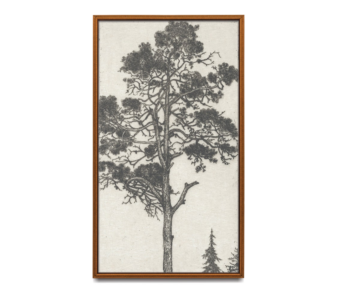 Tree Sketch Antique Print. Vintage Tree Drawing Printable. | Etsy