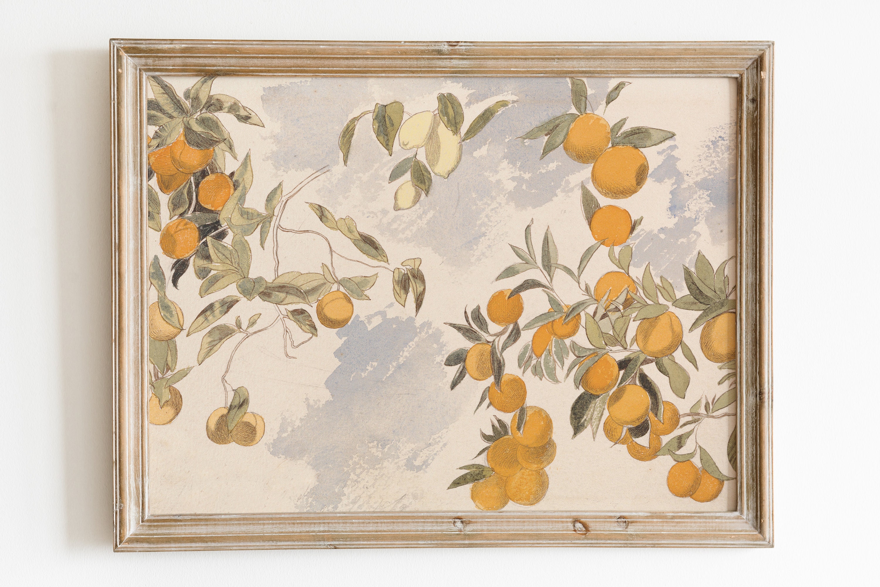 Antique 3 Piece Wall Art. Spring Gallery Wall Set. French | Etsy