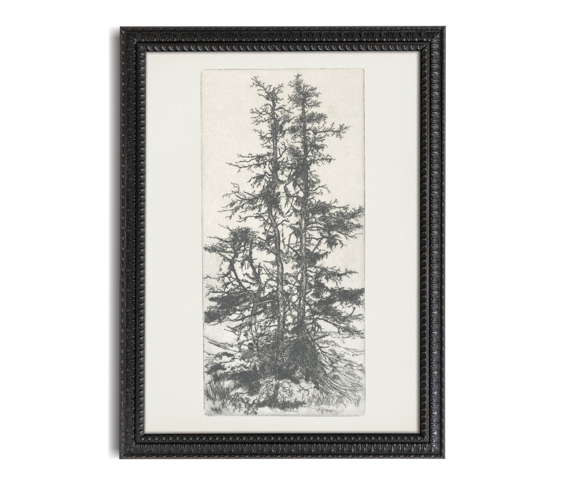 Tree Etching Vintage Print. Antique Tree Sketch Printable. - Etsy