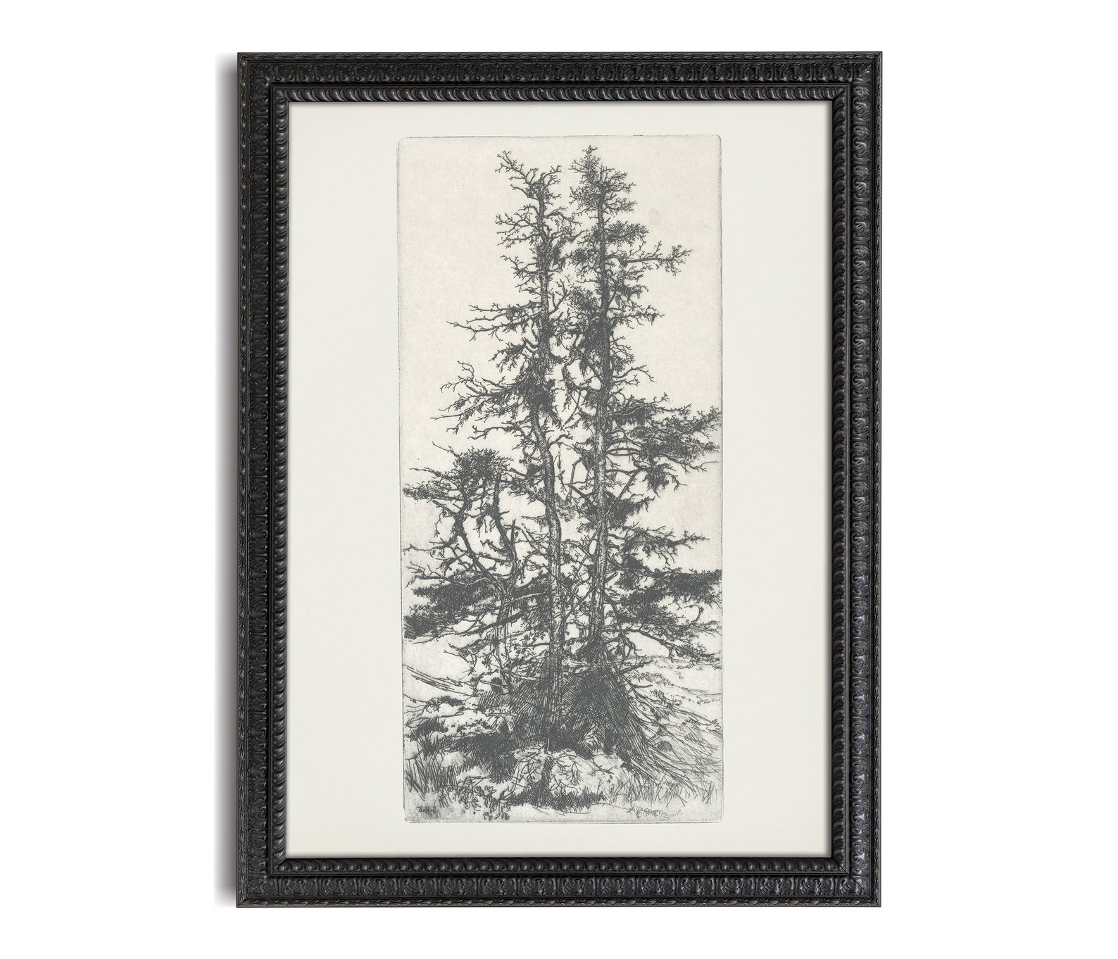 Tree Etching Vintage Print. Antique Tree Sketch Printable. - Etsy
