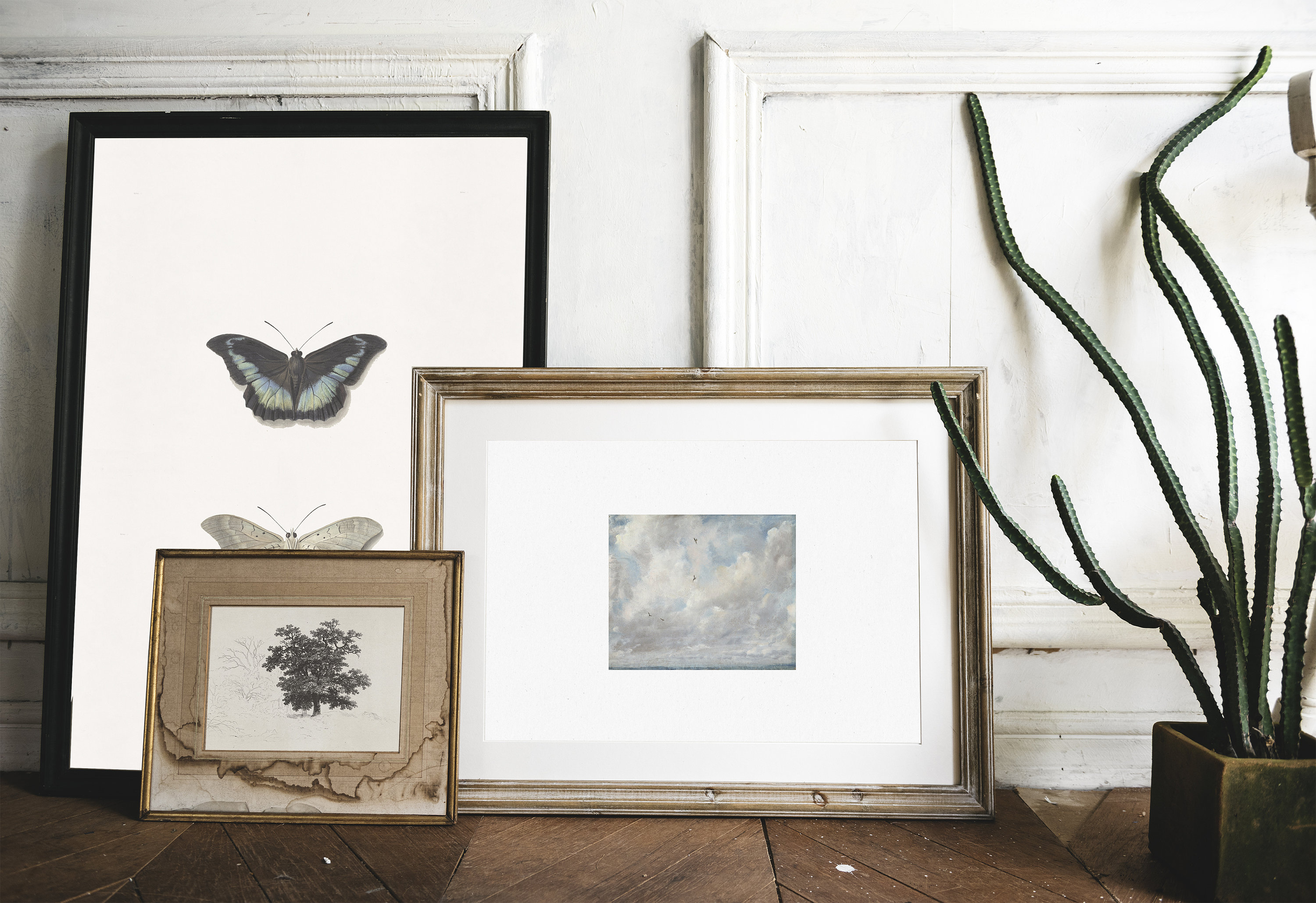 Neutral Butterfly PRINTABLE. Butterflies Antique Drawing. | Etsy