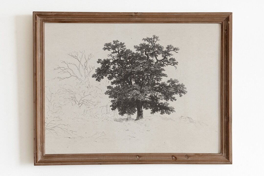 Neutral Tree Sketch. Muted Tree Drawing. Antique Botanical Print. Tree ...