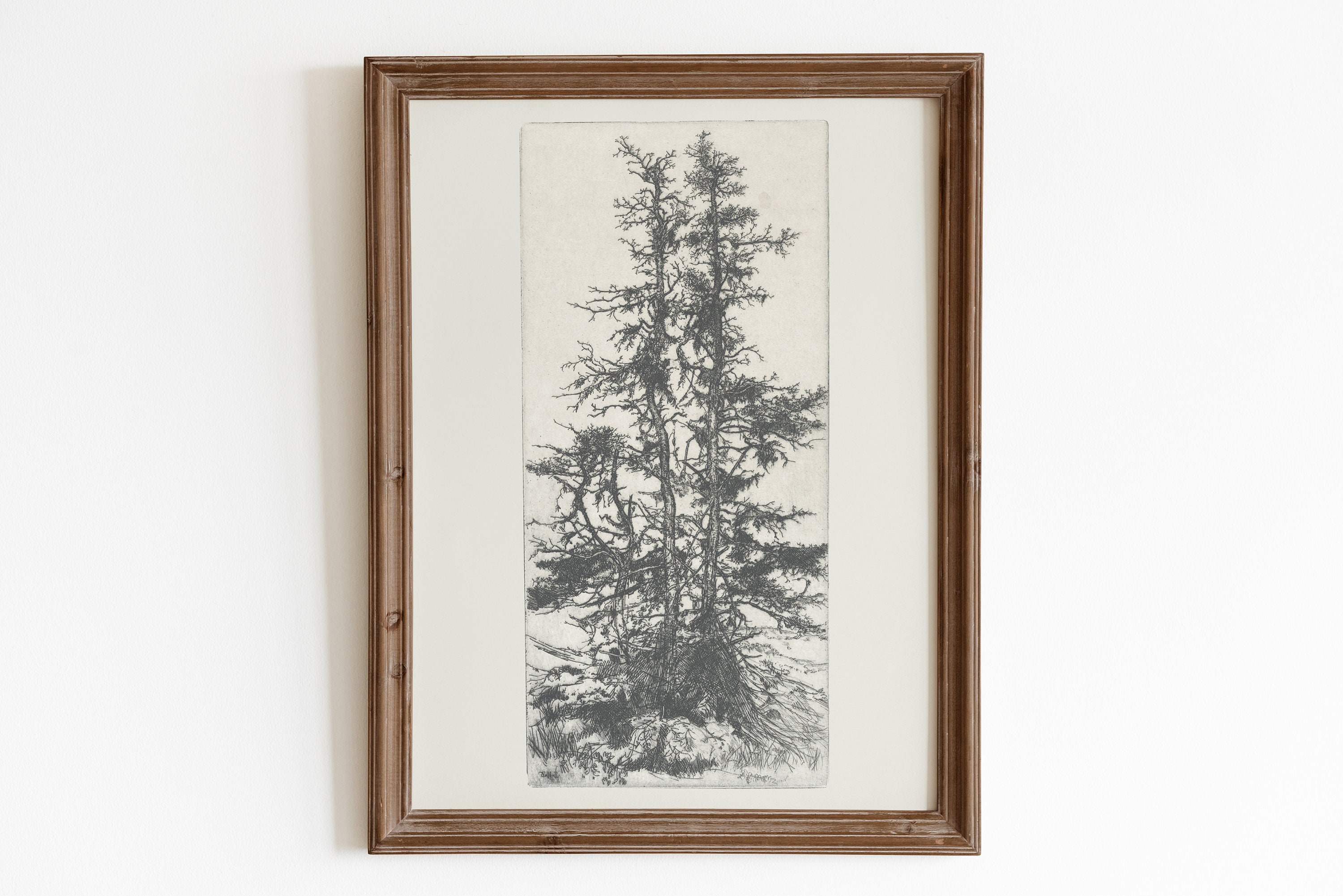 Tree Etching Vintage Print. Antique Tree Sketch Printable. - Etsy