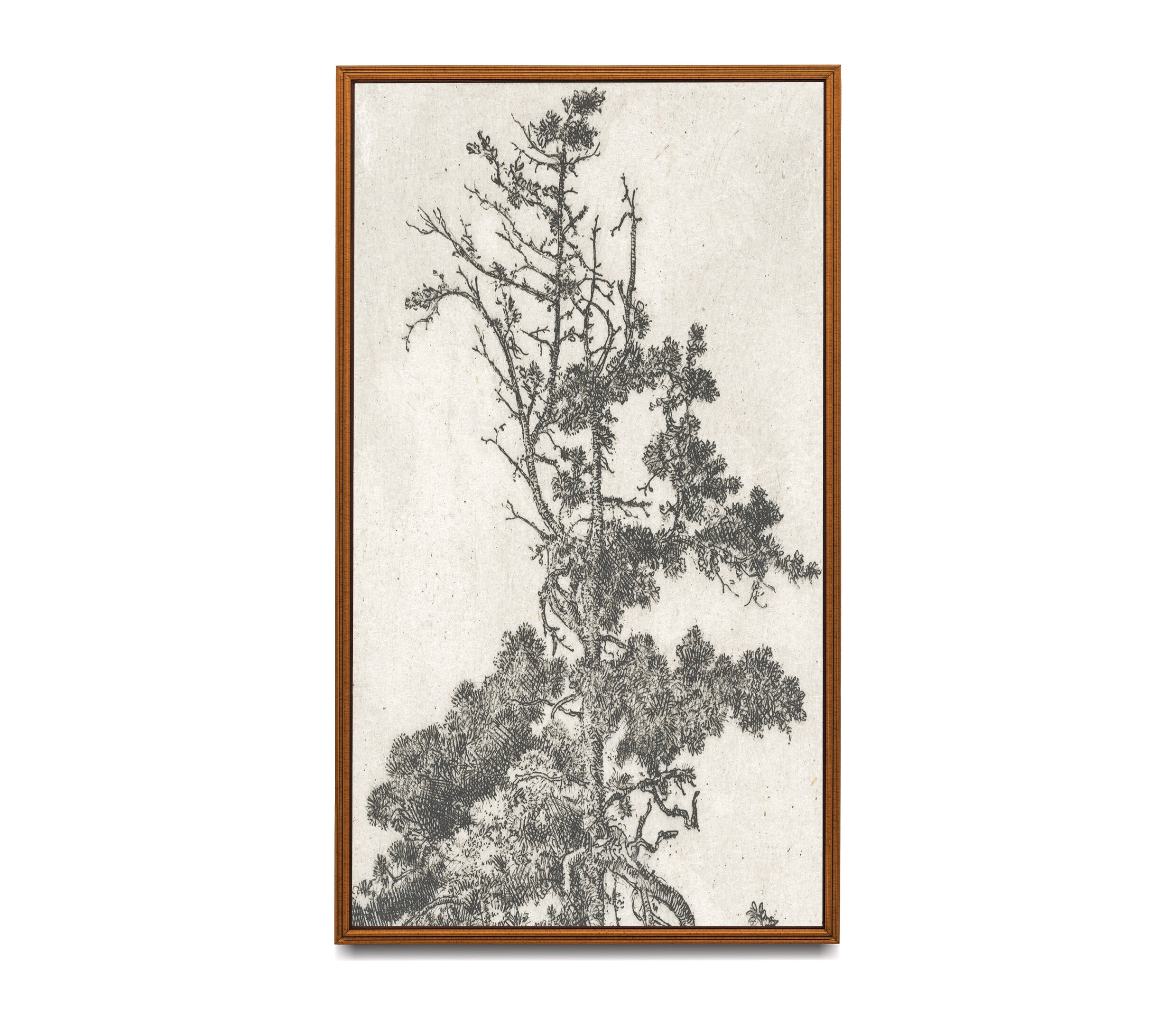 Tree Sketch Vintage. Antique Tree Etching Printable. Tree - Etsy