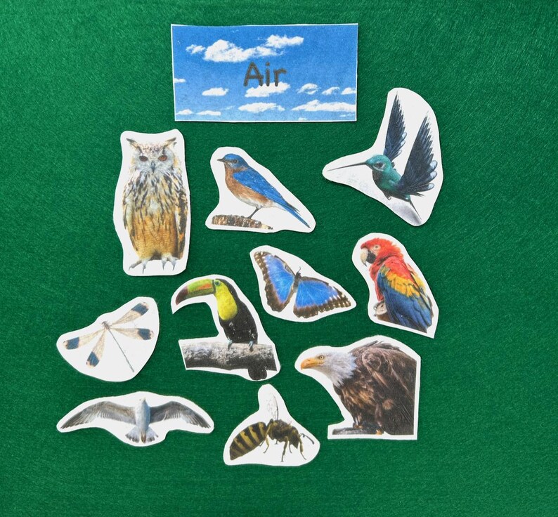 Felt Board Animal Sorting Set: Real Photo Air, Land & Sea - Etsy