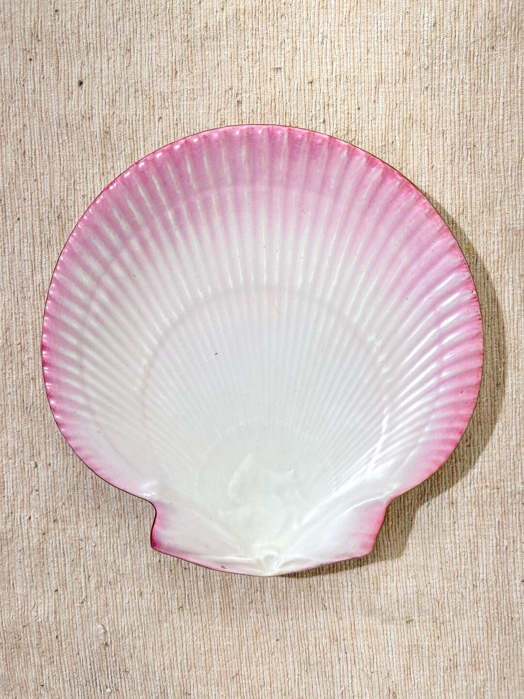 Wedgwood Pearl Shell Pink Plate Gold Gilt Antique Nautilus Decor - Etsy