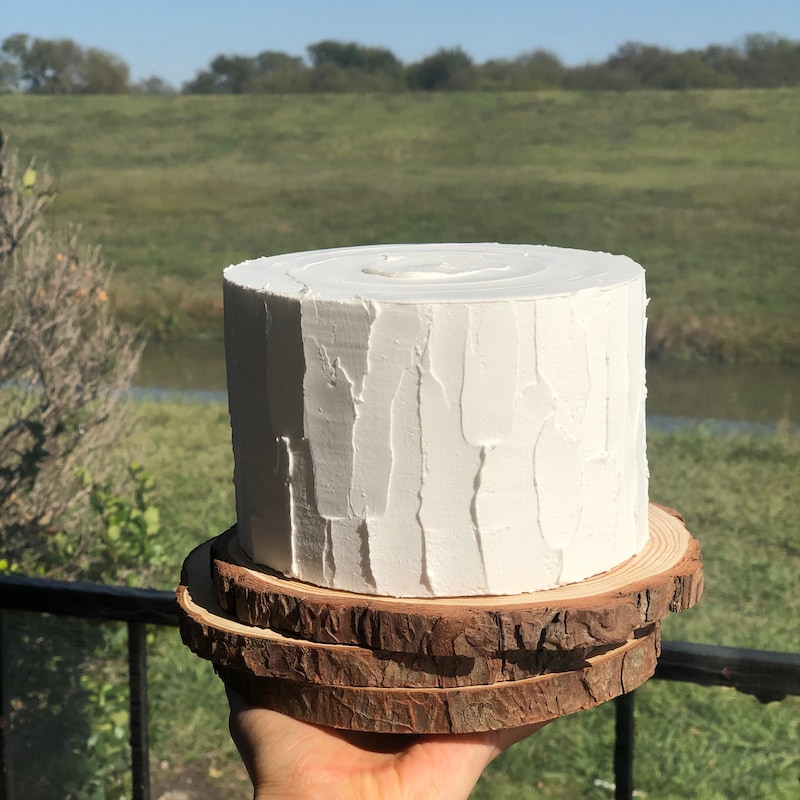 Fake Photoshoot Cake - Etsy